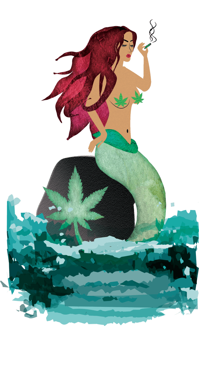 Mary Jane Mermaid #1 Ready To Press DTF Transfer - Buy Bulk DTF