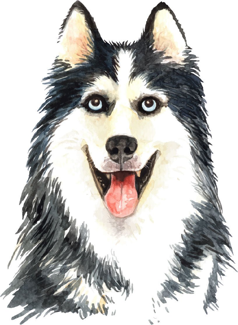 Siberian Husky Portrait Vinyl Sticker Ready To Press DTF Transfer - Buy ...